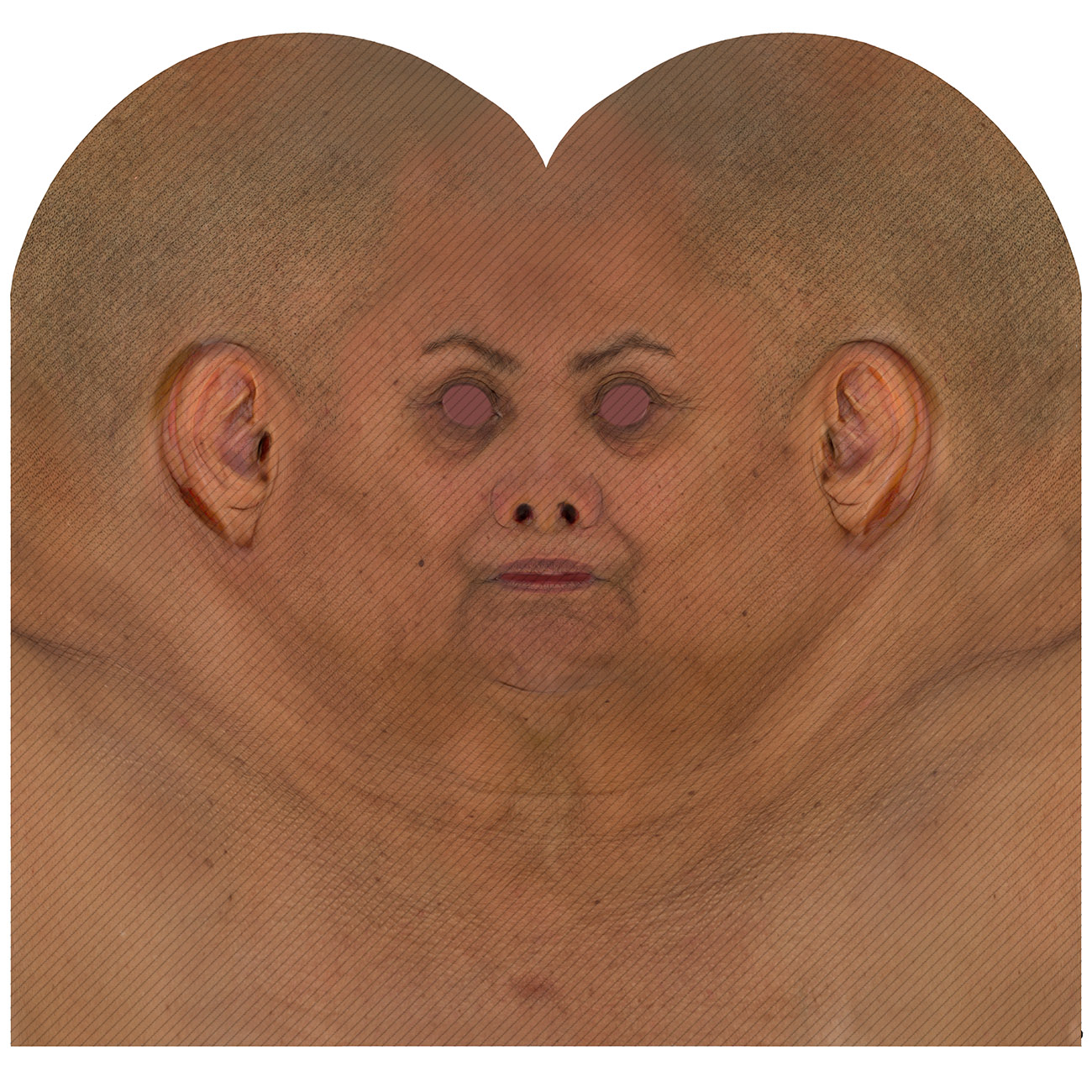 Human Face Texture Map